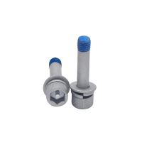 China Dacromet cylindrical head with anti-theft pin nylon patched stainless bolts for sale
