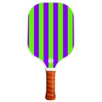 China Custom PP Honeycomb Core Fiberglass Pickleball Set 4 Pickleballs And 2 Paddles for sale