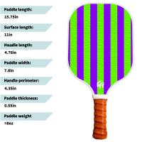 China Custom PP Honeycomb Core Fiberglass Pickleball Set 4 Pickleballs And 2 Paddles for sale