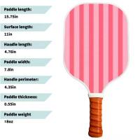 China Entertainment Fiberglass Pickleball Paddles Set 1 Pack 2 Beats 4 Balls USAPA Standard for sale