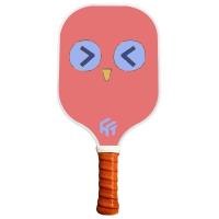 China High Rebound Glass Fiber Carbon Fiber Pickleball Racket for USAPA Custom Direct OEM Paddle for sale
