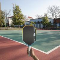 China Carbon Fiber Pickleball Paddle 14mm/16mm Pro IV Elongated USAPA Approved for sale
