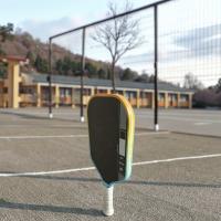 China Carbon Fiber Pickleball Paddle 14mm/16mm Pro IV Elongated USAPA Approved for sale