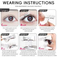 China Vegan Soft Magnetic Cluster Lashes Cruelty Free Lightweight No Glue Needed 5 Pairs for sale
