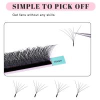 China 6D 8-15MM D Curl Volume Eyelashes Extension Trays Custom DIY Packaging Private Label for sale