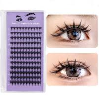 China Spire Fairy Wings Handmade DIY Natural Soft Cruelty Free Vegan Premade Fanned Korean PBT D Comic Lashes Extensions for sale