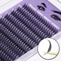 China Premade Fanned Natural 12 Rows 8-15mm D Roll 0.04mm Thin Band Wing Fairy Comic Spire Lashes Salon Eyelashes Extension for sale