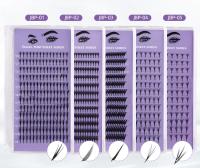 China Premade Fanned Natural 12 Rows 8-15mm D Roll 0.04mm Thin Band Wing Fairy Comic Spire Lashes Salon Eyelashes Extension for sale