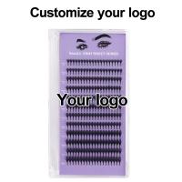 China Premade Fanned Natural 12 Rows 8-15mm D Roll 0.04mm Thin Band Wing Fairy Comic Spire Lashes Salon Eyelashes Extension for sale