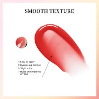 China Natural Nourishing Mineral Lip Butter Balm Gel Packaging for Female Custom Logo Lip Plumper Gloss Private Label Lip Tint for sale