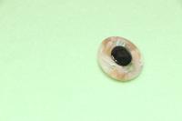 China Seashell Decorative Clothing Buttons 34l  Round Shape Enviormental Friendly for sale