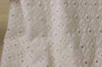 China 125cm Cotton Embroidered Lace Fabric , Translucent Lace Print Cotton Fabric for sale