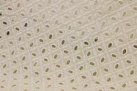China White Cotton Embroidered Lace Fabric 49in Width Breathable Eyelet for sale