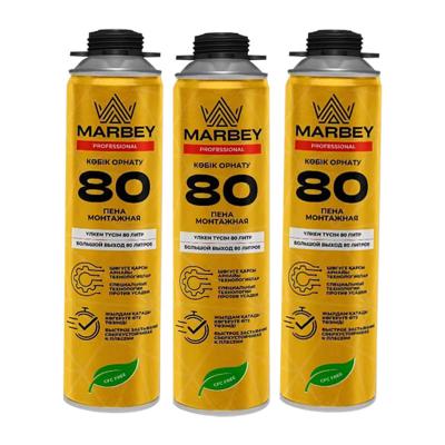 China Polyurethane Foam Sealant Spray 300ml 500ml 750ml for Building Heat and Sound Insulation for sale