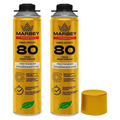 China Expanding Polyurethane Foam Sealant 500ml/750ml for Door Window Sealing with -40℃ to +80℃ Temperature Range for sale