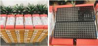 China SAK-TC1791F-512F240EP AB LFBGA-292 32-bit Microcontroller MCU IC New Original for sale
