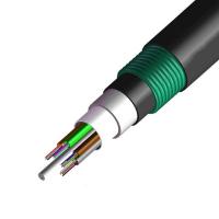 China GYTA53 Armored Outdoor Fiber Optic Cable 12 24 36 48 72 144 Core Single Mode G652D for sale