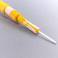 China Indoor LSZH Aramid Yarn Strength G652D Fiber Optic Cable GJPFJH 4 to 48 Core for sale