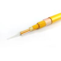 China Indoor LSZH Aramid Yarn Strength G652D Fiber Optic Cable GJPFJH 4 to 48 Core for sale