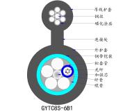 China Outdoor Aerial Figure 8 GYTC8S 24 Core Self Supporting Fiber Optic Cable FTTH for sale