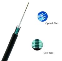 China GYXTW 2-24 Core Single Mode Armored Fiber Optic Cable Aerial 8.6-9.0mm for sale