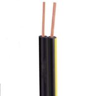 China Drop Wire 2 Core BC/CCA/CCS Cat3 10 Pair Telephone Copper Cable for sale