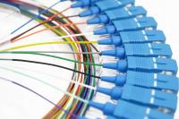 China FOC 8 12 Fiber Ribbon Pigtail SC LC APC UPC Single Mode 0.9mm 2.0mm 3.0mm for sale