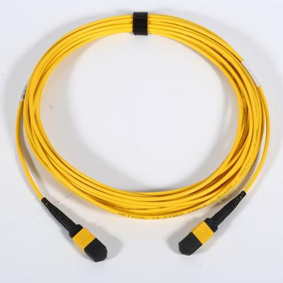 China MPO MTP Fiber Optic Patch Cable 0.5dB Insertion Loss PVC Jacket 12 / 24 Cores for sale