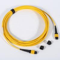 China MPO MTP Fiber Optic Patch Cable 0.5dB Insertion Loss PVC Jacket 12 / 24 Cores for sale