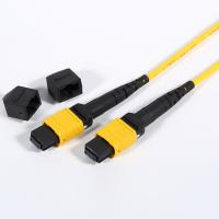 China MPO MTP Fiber Optic Patch Cable 0.5dB Insertion Loss PVC Jacket 12 / 24 Cores for sale