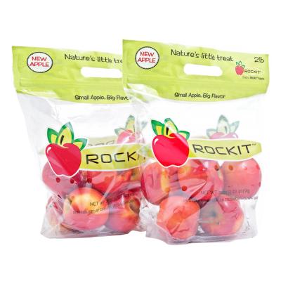 China OPP / CPP Child Resistant Zipper Bags Custom Printing 0.15mm Thickness for sale