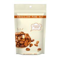 China ODM Stand Up Zipper Pouch Cashew Walnut Amygdala Foil Packaging 200g 300g for sale