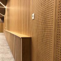 China Perforated Acoustic Panel Acoustic Panel Manufacturers for Interior Wall Systems for sale