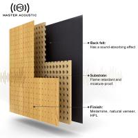 China Fire Resistant Perforated Acoustic Panel Acoustic Panel Manufacturers for sale