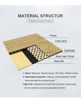 China Acoustic Panel Manufacturers Perforated Ceiling Acoustic Panel Systems for sale