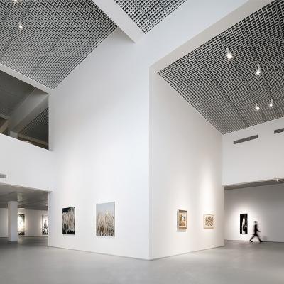 China Sound Absorbing Ceiling Panel Acoustic Panel Manufacturers for Office Interiors for sale