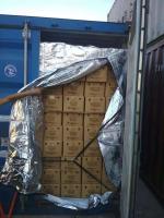China Aluminum Film 20FT Dry Bulk Liner Container Powder Transportion for sale