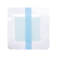 China 10x10cm Medical Hydrogel Wound Care Dressing For Burn OEM Logo Design for sale