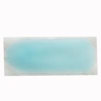 China Rehabilitation Therapy Pain Relief Patch Physical Therapy Cooling Gel Patch with Adhesive for sale