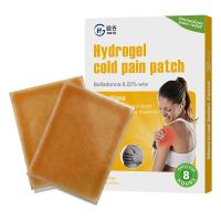 China Hydrogel Cooling Pain Relief Patch Chinese Plaster 10x14cm Physical Compress Cold Gel for sale
