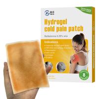 China Hydrogel Cooling Pain Relief Patch Chinese Plaster 10x14cm Physical Compress Cold Gel for sale