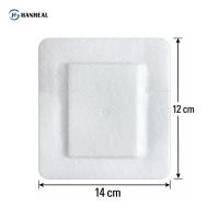 China Sterile Self-Adhesive Non-Woven Wound Dressing - Breathable, Absorbent, and Skin-Friendly for Postoperative Wounds for sale