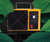 China ODM Commercial Ozone Generator Machine For Smoke Removal Lightweight for sale