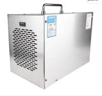 China 220V Hotel Digital Ozone Generator With Timer 150W for sale