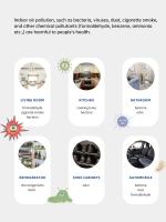 China Electric Ozonator 28g/H Deodorizer For Cars For Air Purification for sale