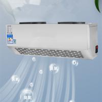 China Food Workshop Industrial Ozone Generator Air Sterilizer 20g for sale
