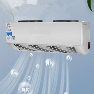 China Food Workshop Industrial Ozone Generator Air Sterilizer 20g for sale