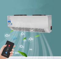 China Food Workshop Industrial Ozone Generator Air Sterilizer 20g for sale