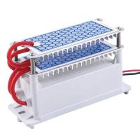 China Portable Corona Ozone Generator Module Ceramic Plate Sanitizer for sale