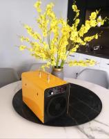China Portable Breathing Ozone Generator Room Purifier 40g for sale